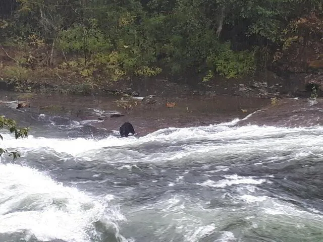 Stamp Falls Prov. Park