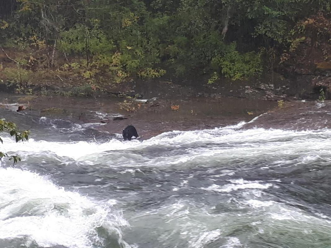 Stamp Falls Prov. Park