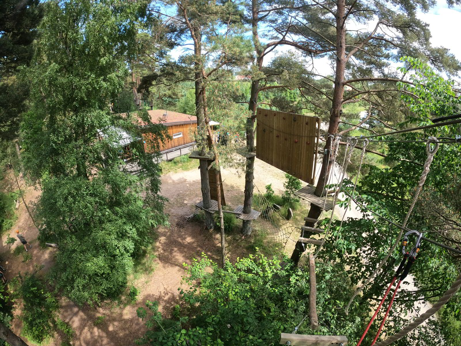 Höghöjdsbana i Skåne - Aktiviteter för alla | Treewalker