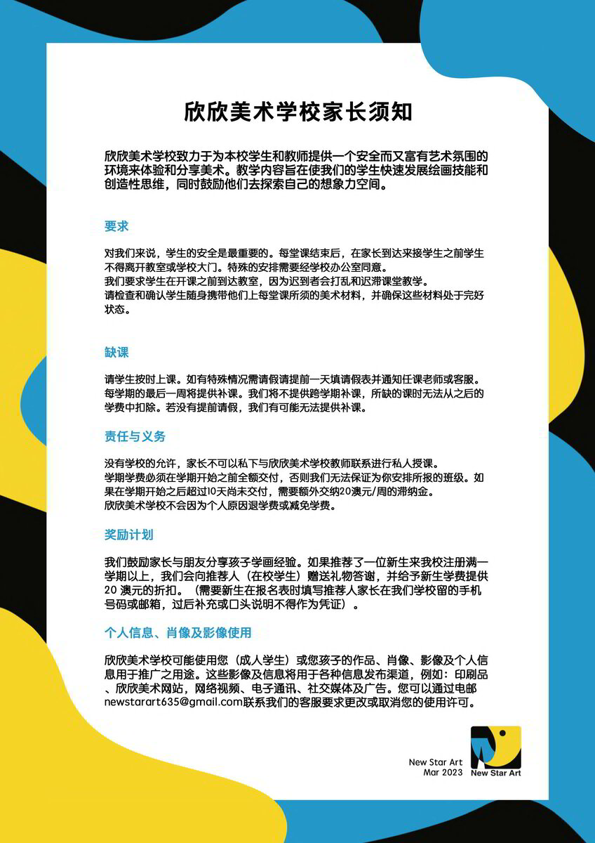New Star Art School Guidelines