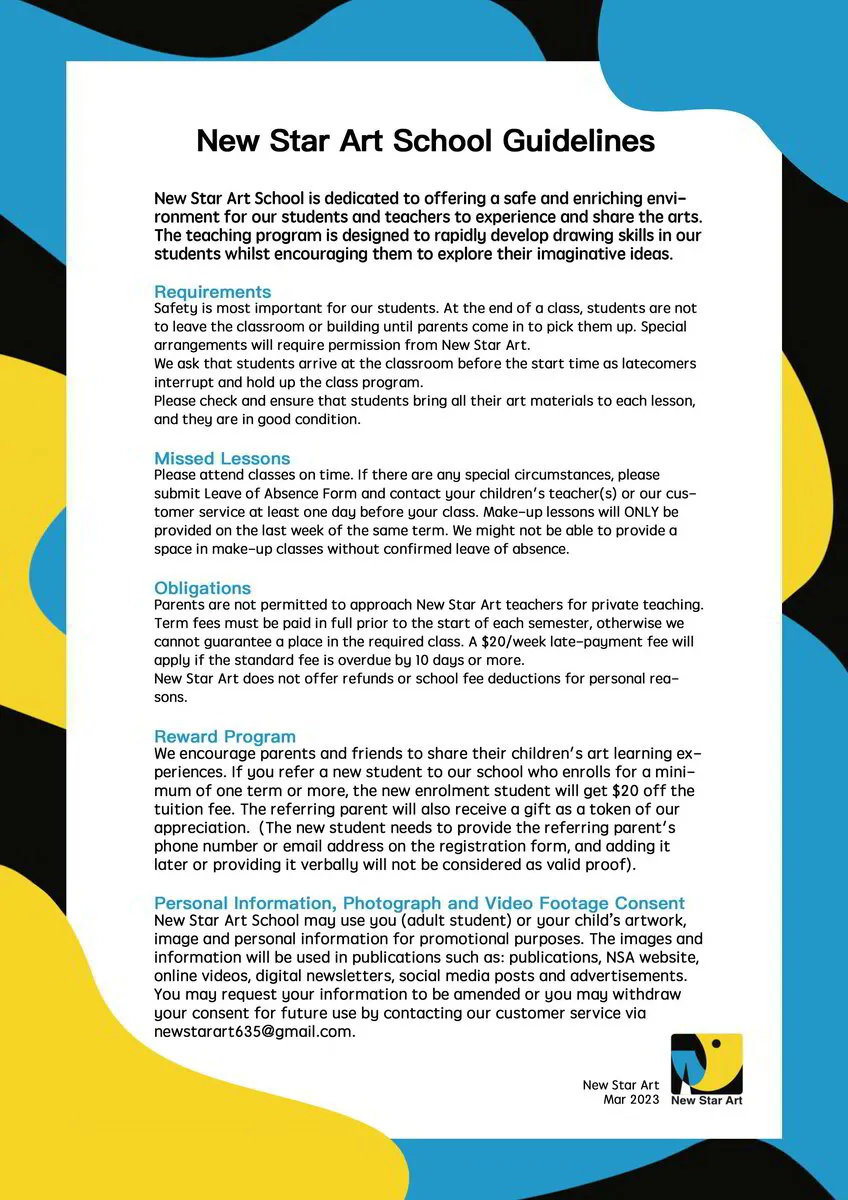 New Star Art School Guidelines