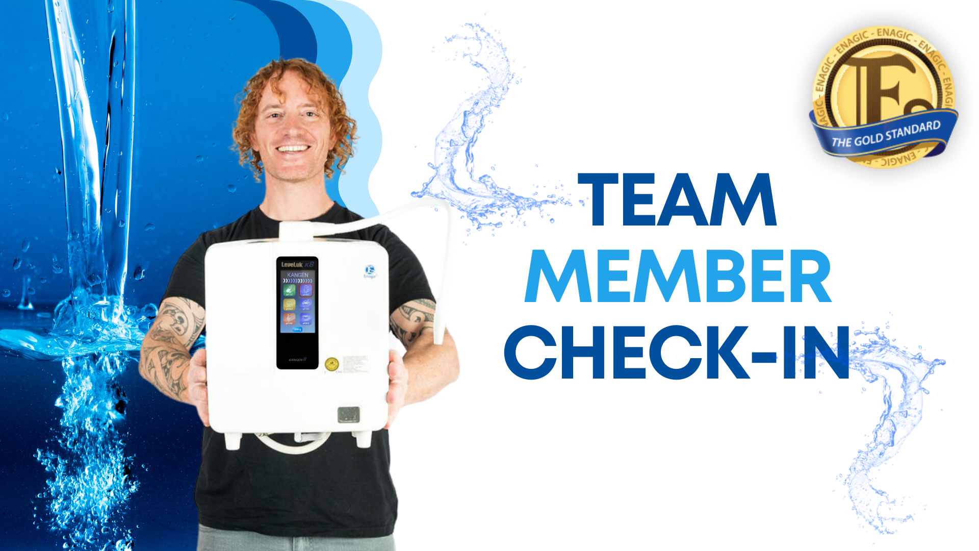 Team Member Weekly Check-In