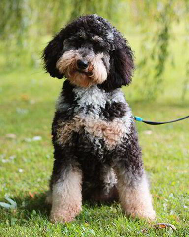 Moms at Willow Lane Farms