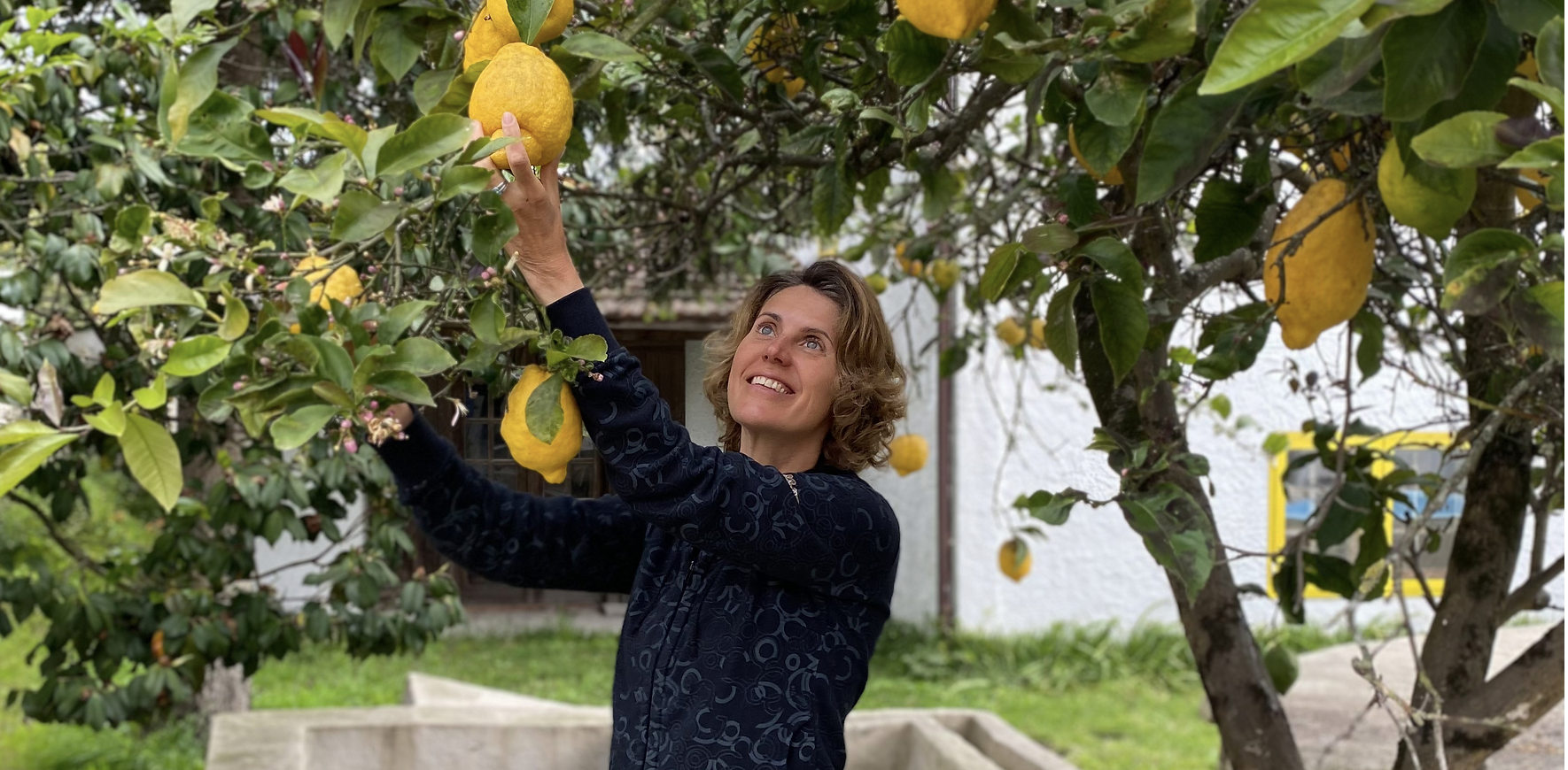 The Story of the Lemon Tree