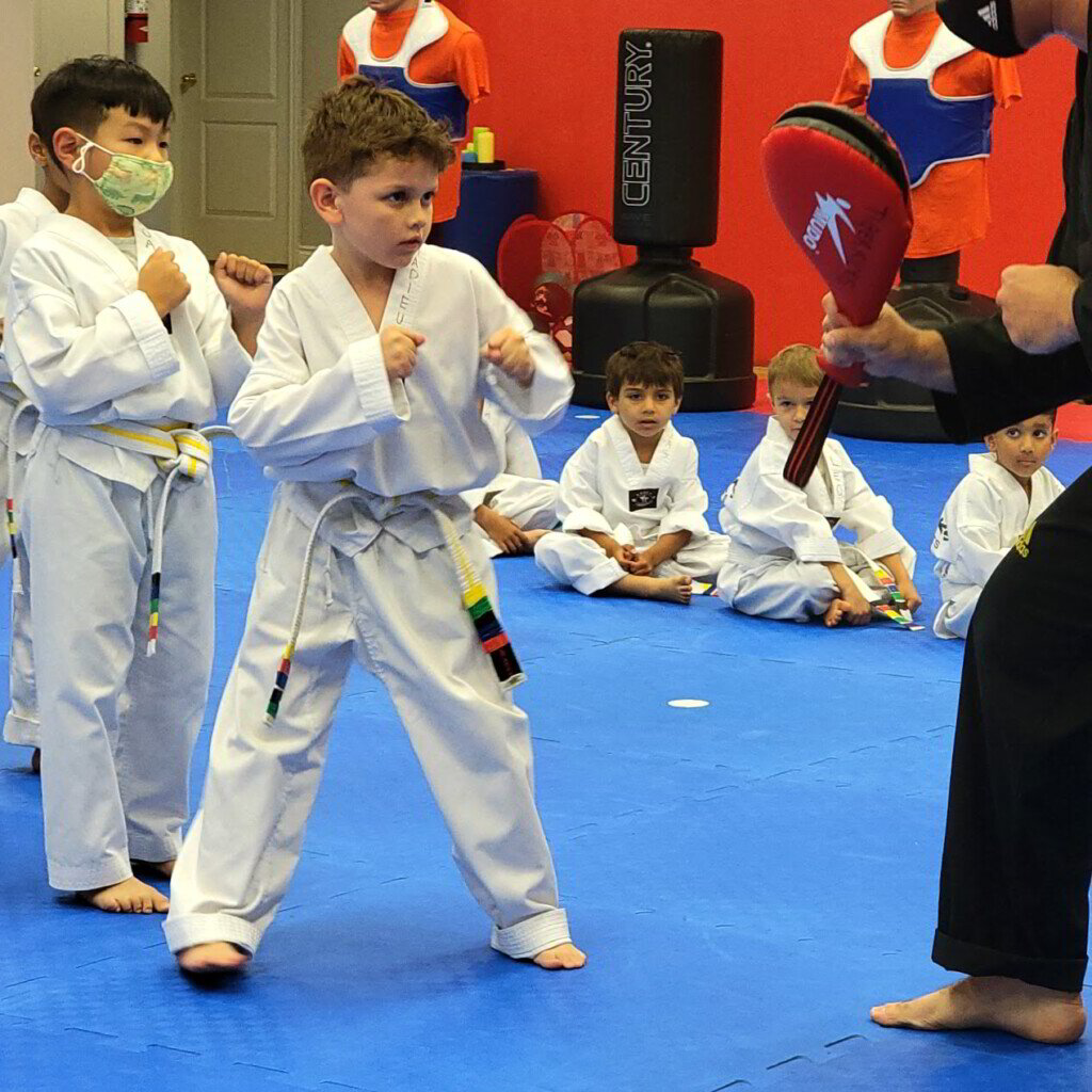 Tiger Kicks Martial Arts Programs in Richmond Hill and Vaughan