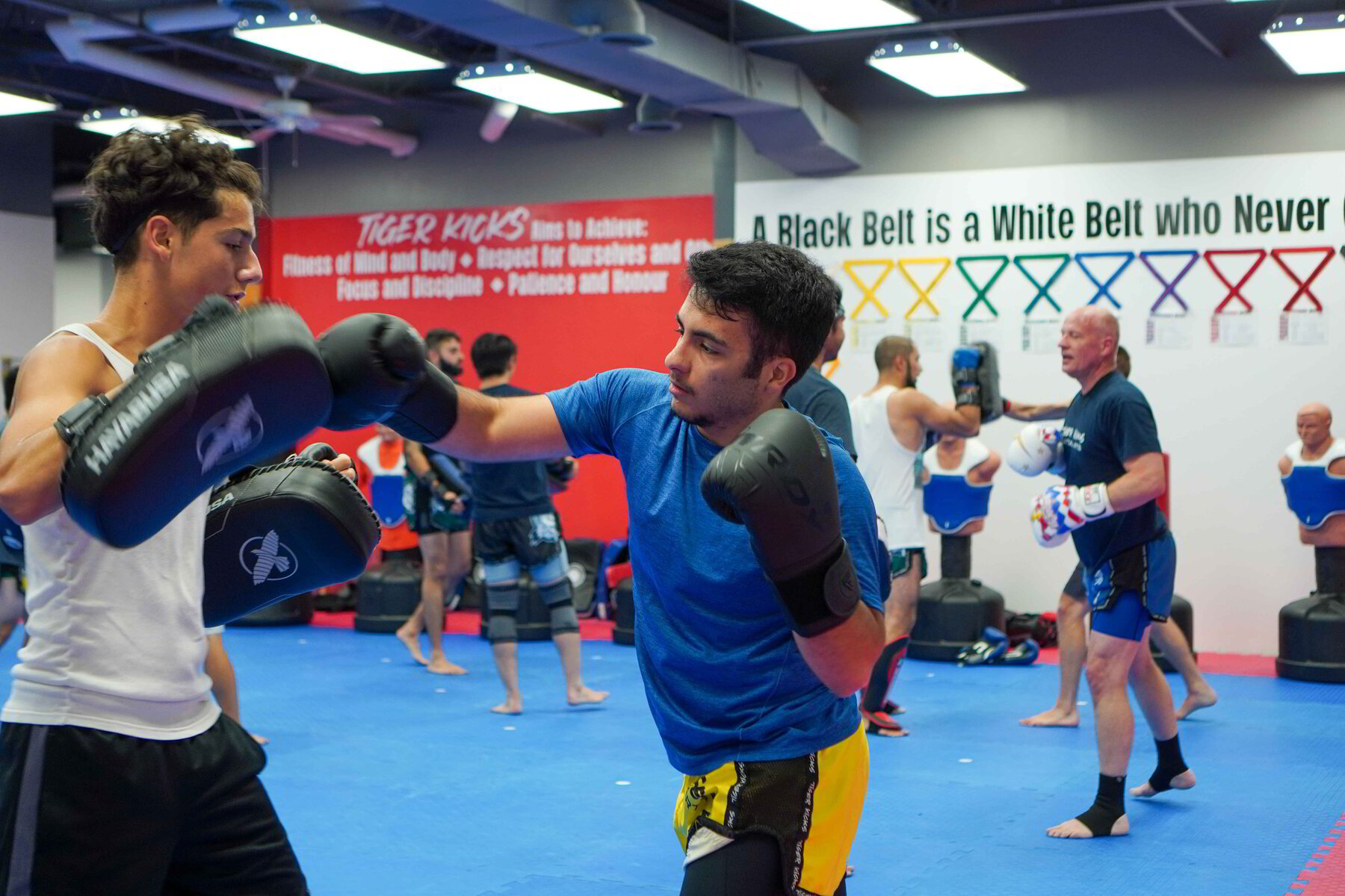 Tiger Kicks Martial Arts - Taekwondo and Kickboxing Training in ...