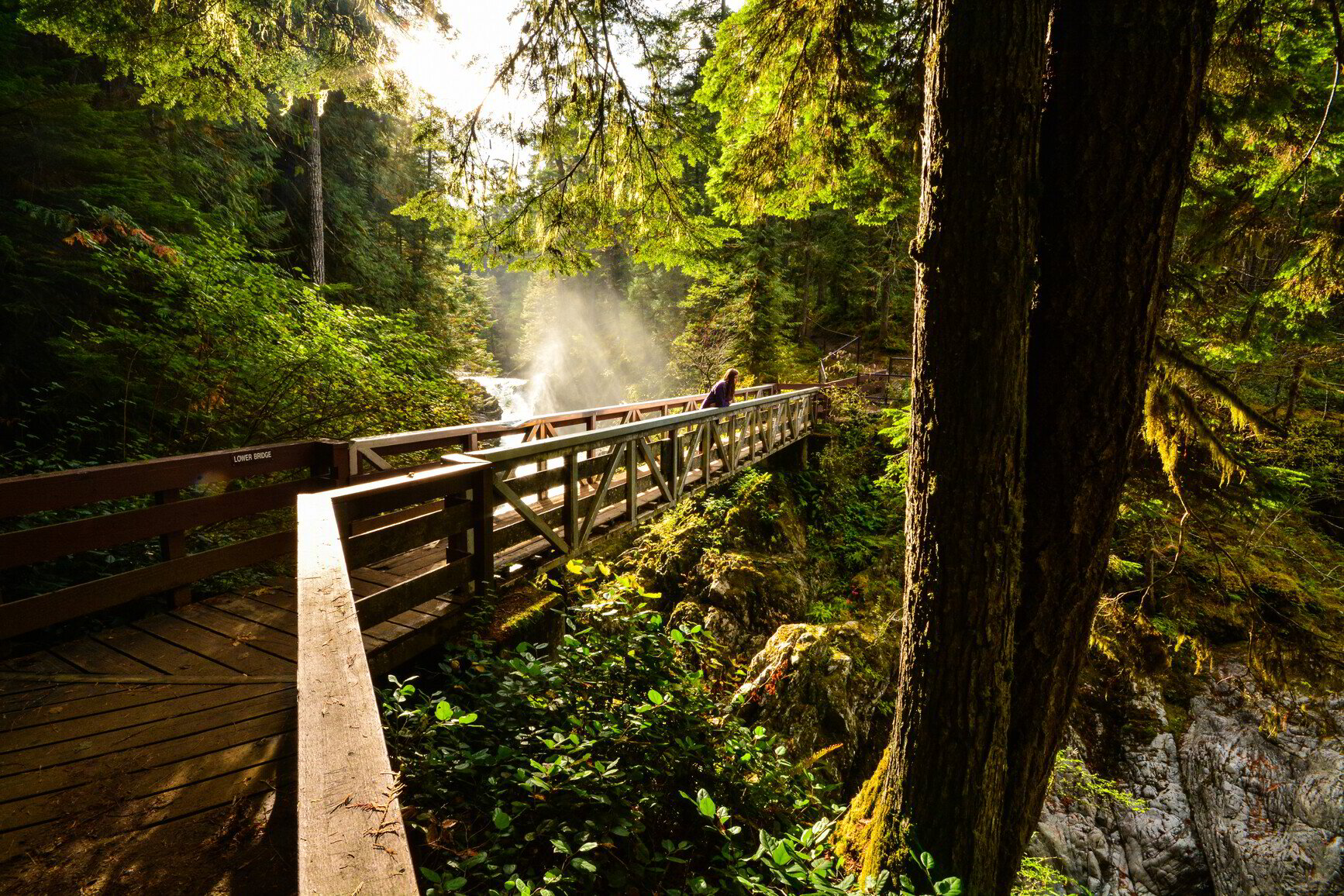 Parksville Camping FAQs: Guides for Your Next Trip