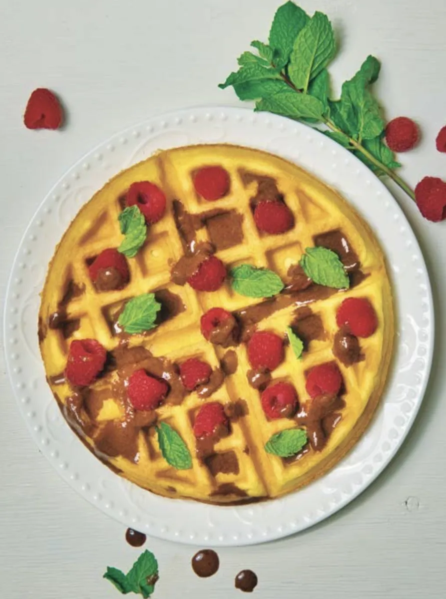 Flourless Waffle Delight: A Gut-Friendly Breakfast Treat