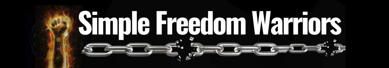 Simple Freedom Warriors Compensation Plan 2025