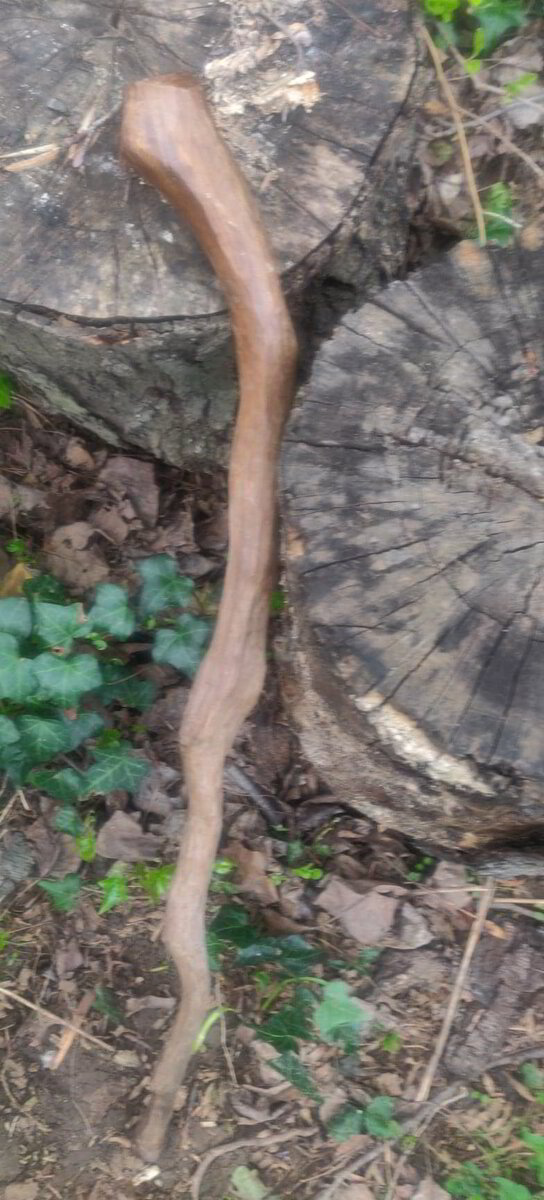 The Irish Stick