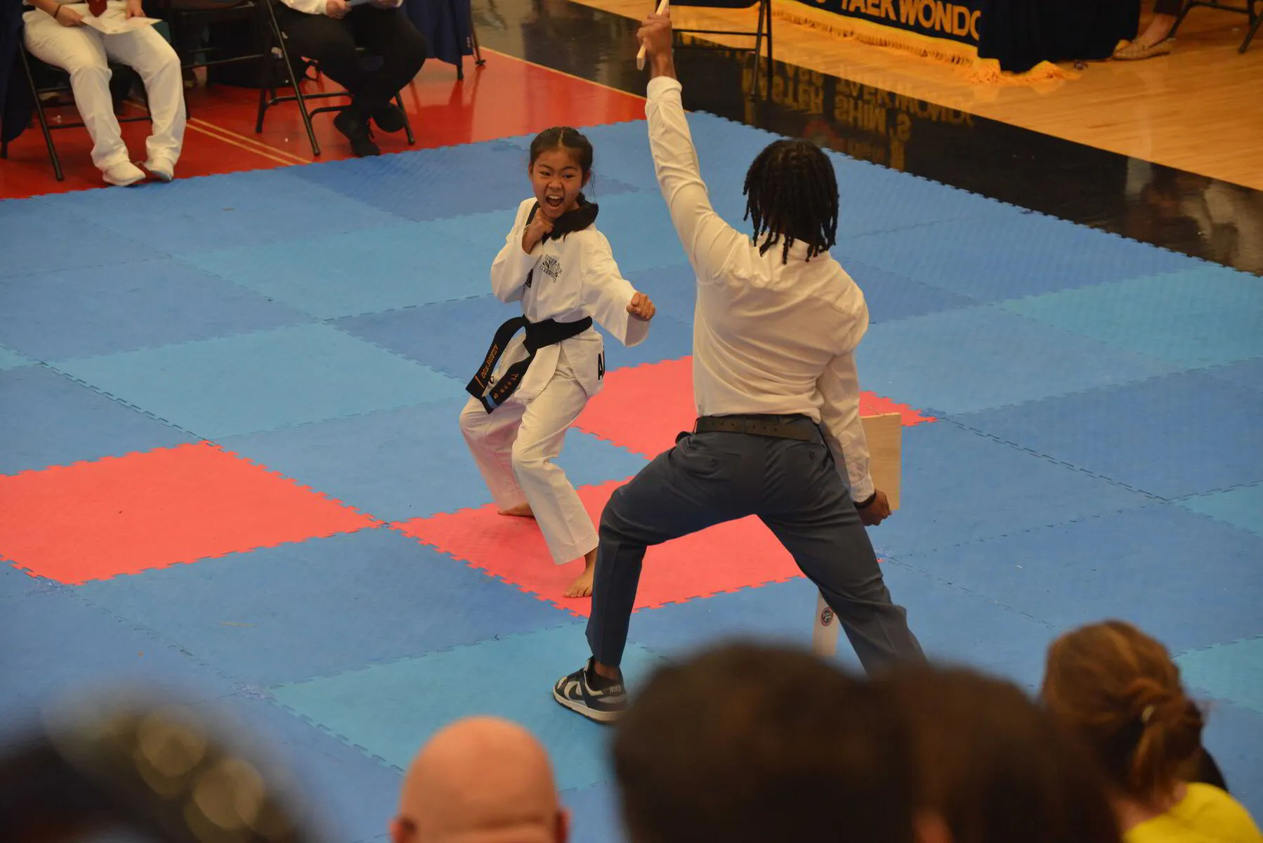 Tiger Woo's World Class Tae Kwon Do - Lewis Center & Powell