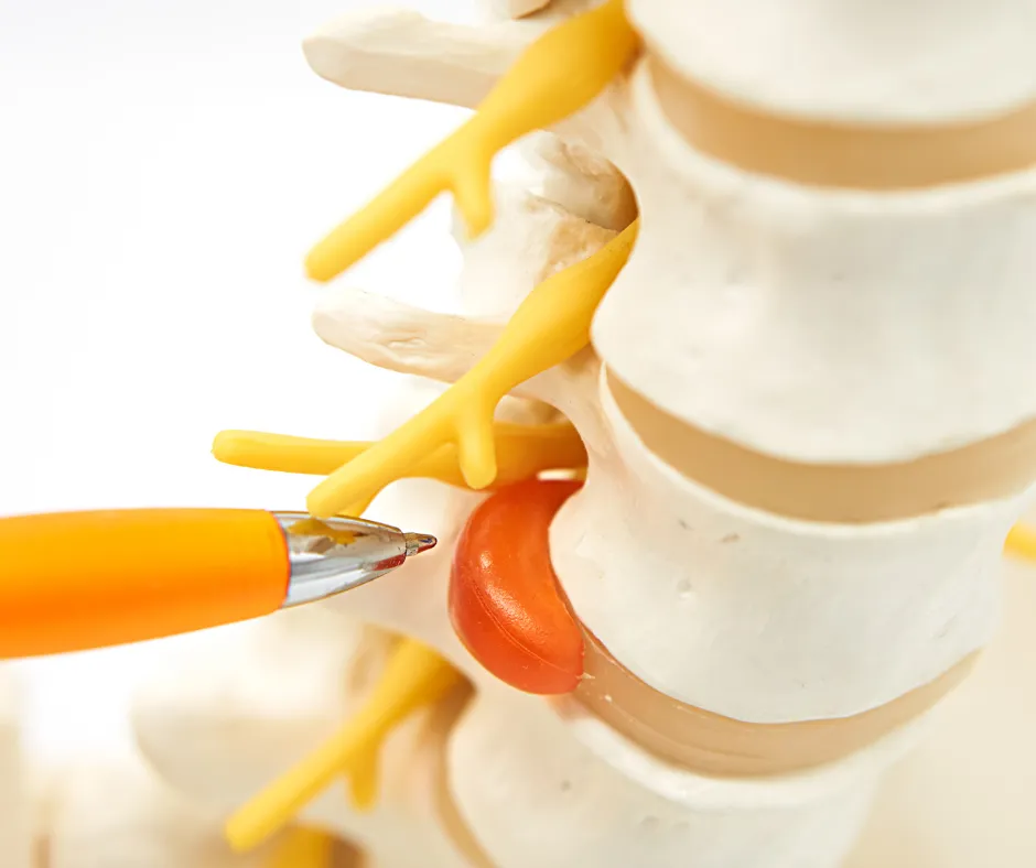 From Brain to Toe: The Nerves that Power Your Every Move!