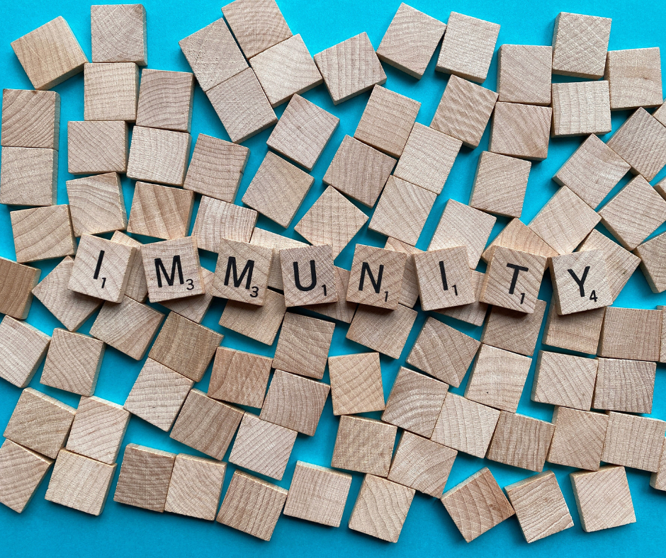The Connection Between Chiropractic Care and Immunity