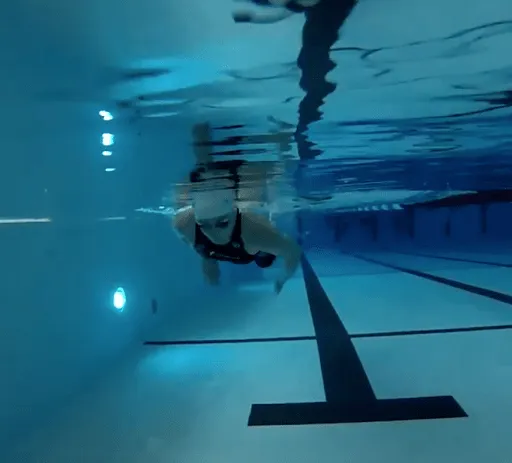 6 Tips for Sculling like a PRO (sculling swimming)