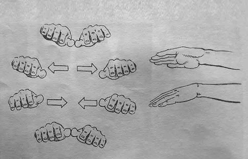 6 Tips for Sculling like a PRO (sculling swimming)