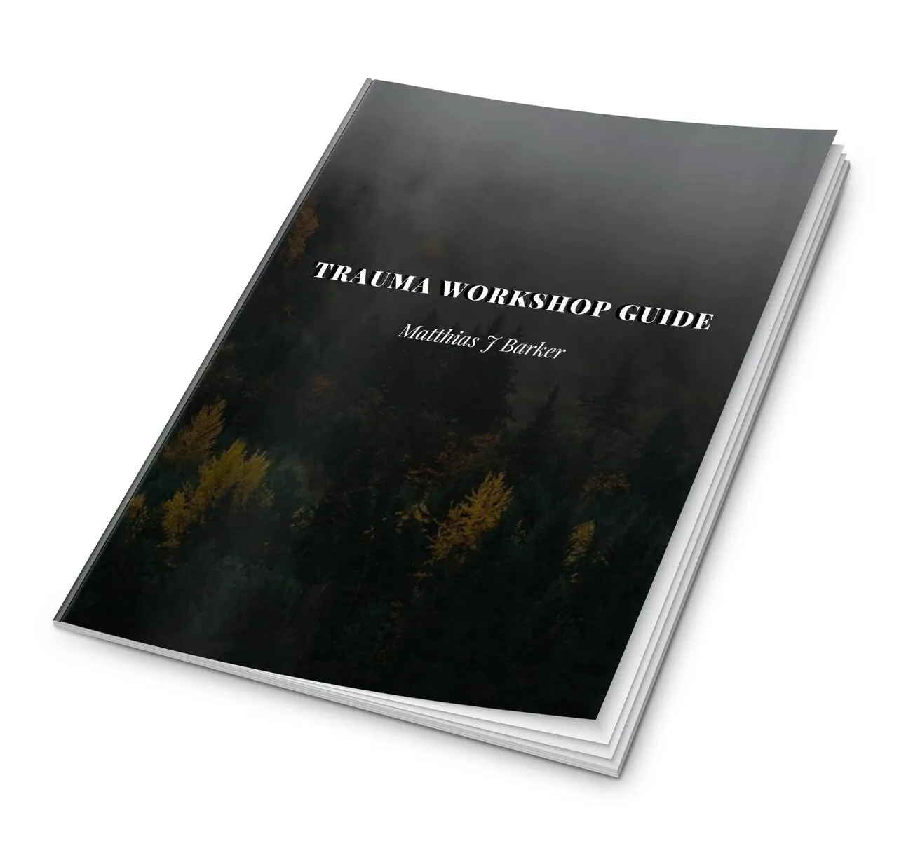 Understanding My Trauma Workshop