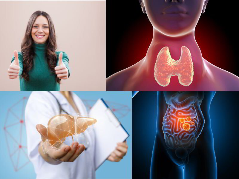 How Your Thyroid, Gut, and Liver Work Together: Why It All Matters
