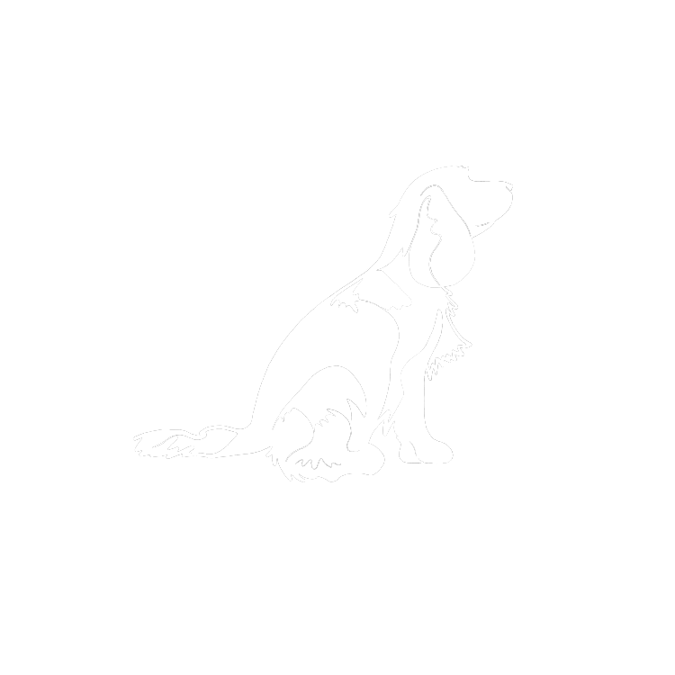 Home - VIP Dog Training