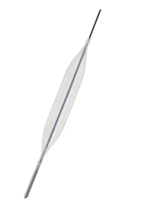 PTA Balloon Catheters