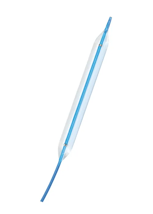 PTA Balloon Catheters