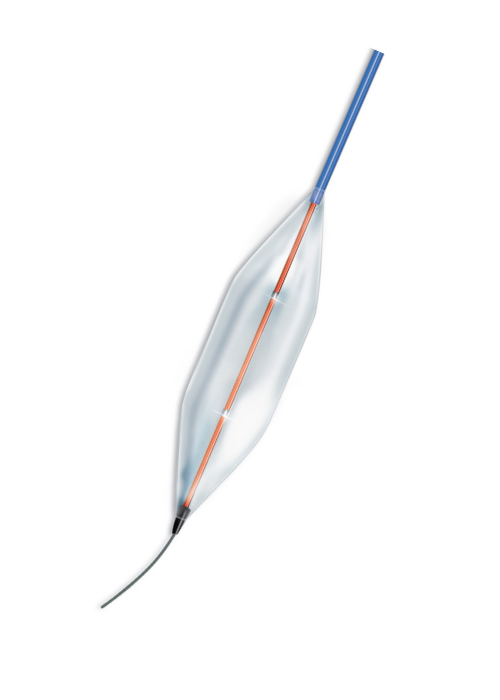 PTA Balloon Catheters