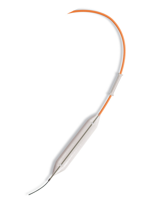 PTA Balloon Catheters