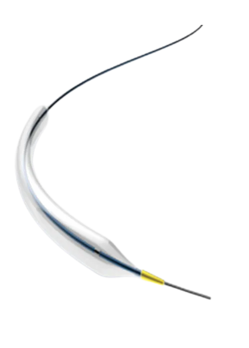 PTA Balloon Catheters