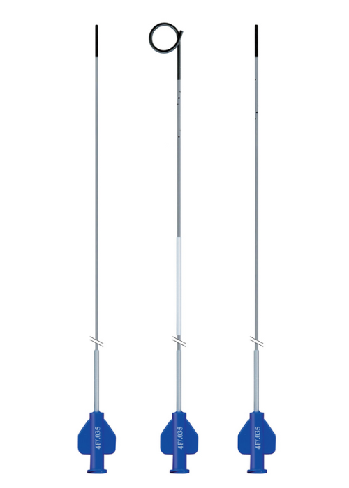Diagnostic Catheters