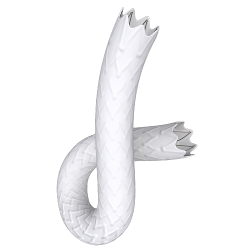 Balloon Expandable Stents