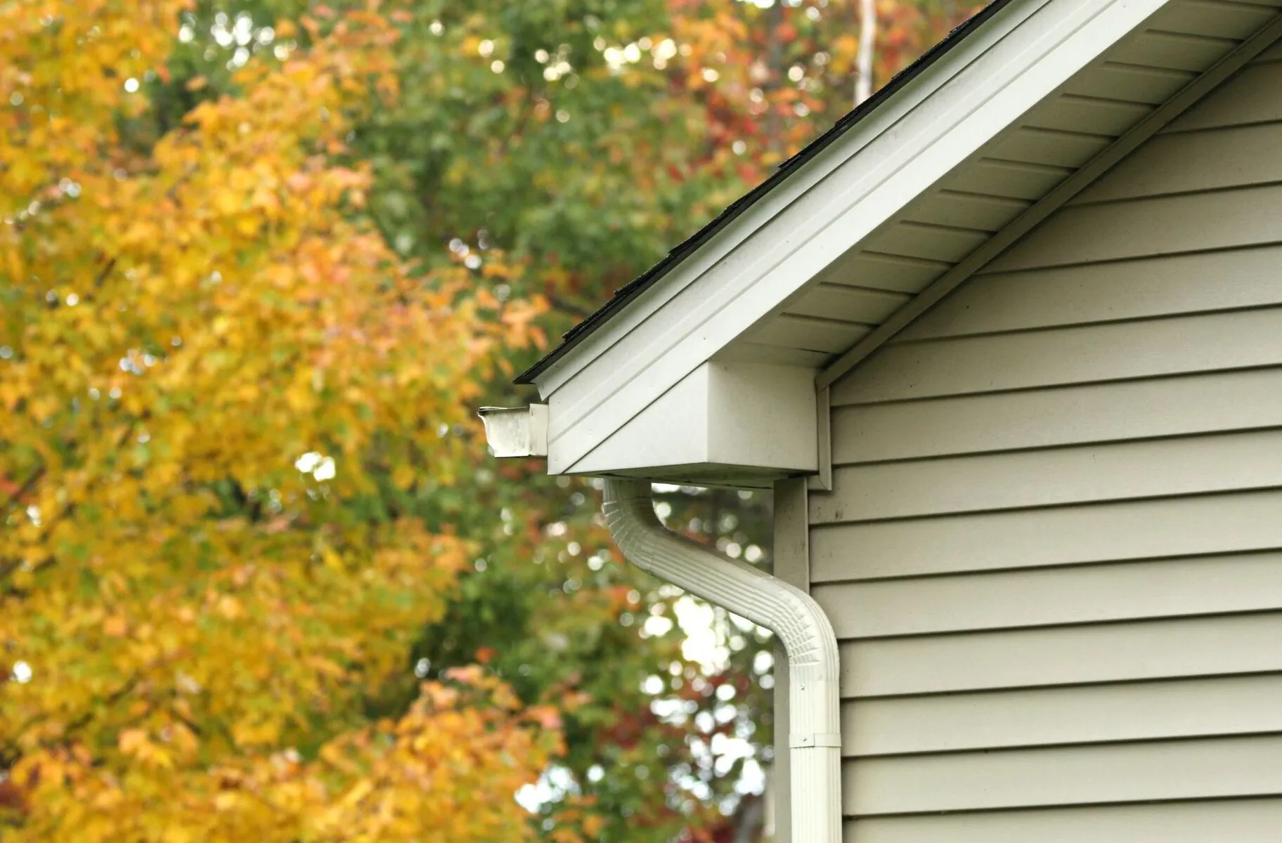 The Importance of Proper Soffit Ventilation