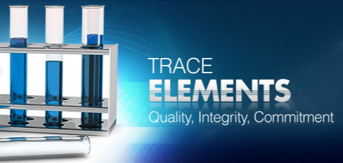 Trace Elements - Hair Tissue Mineral Analysis (Hair)