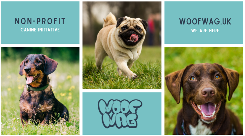 Gallery of dogs from Woodford Woof Fest in September 2025 | Woof Wag