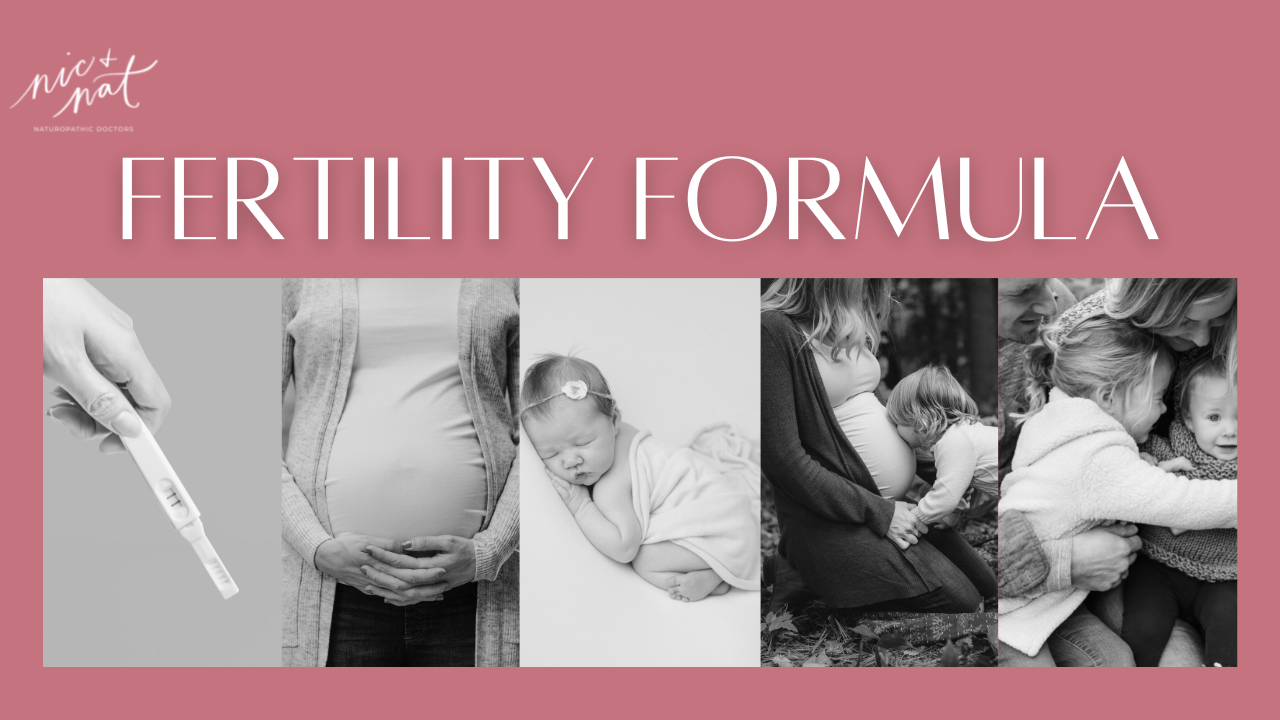 The Fertility Formula Program