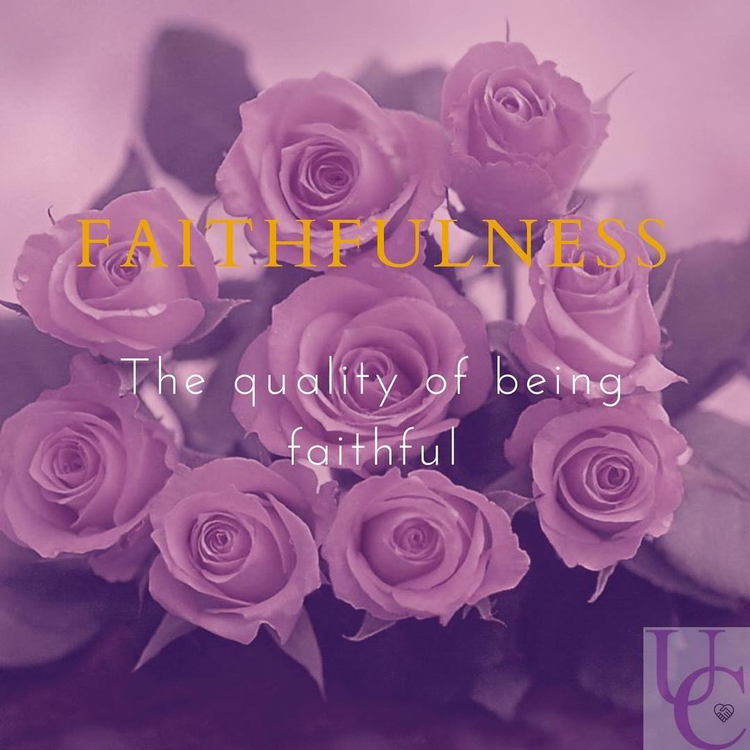 The Nine Most Important Aspects of Senior Care