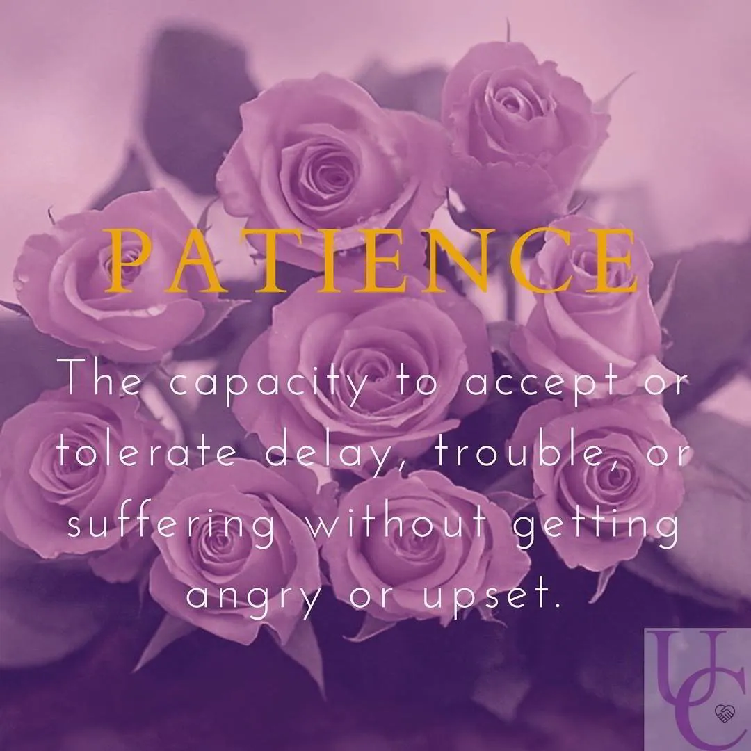 The Nine Most Important Aspects of Senior Care