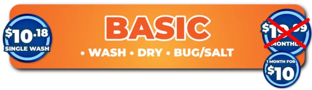 Blue Buffalo Car Wash | Conveniently Located in Lakewood, NY