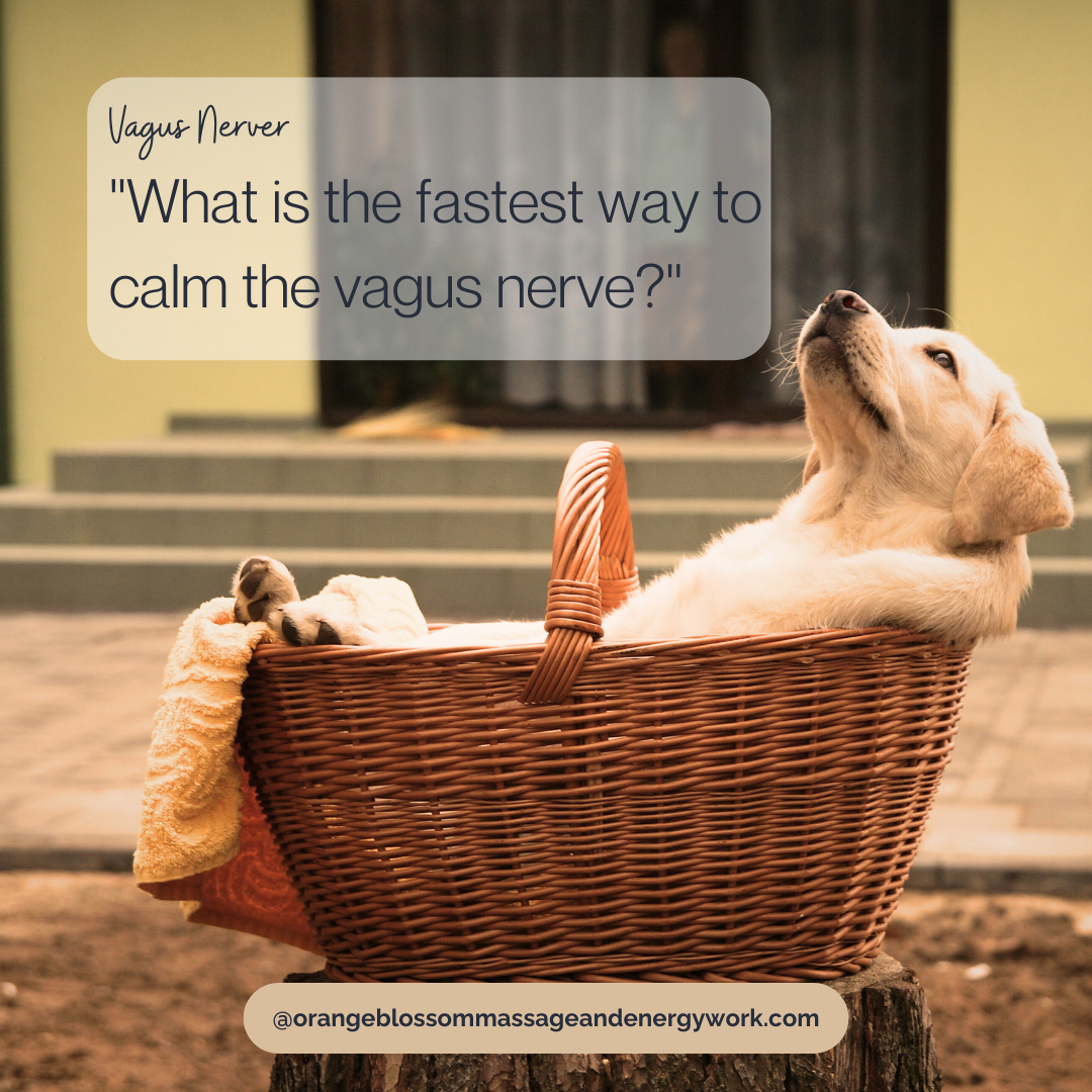 What's the fastest way to calm the vagus nerve?