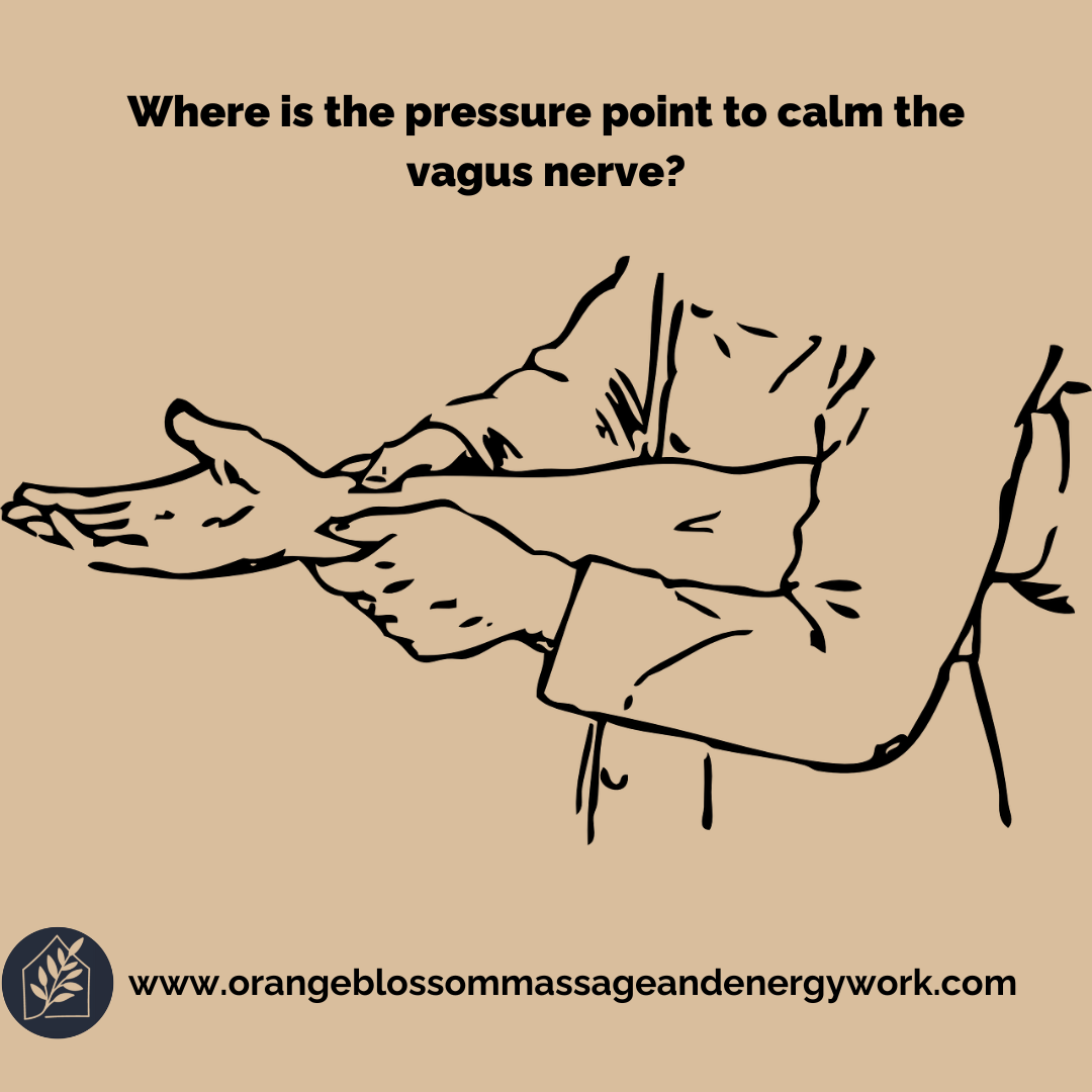 Where is the pressure point to calm the vagus nerve?