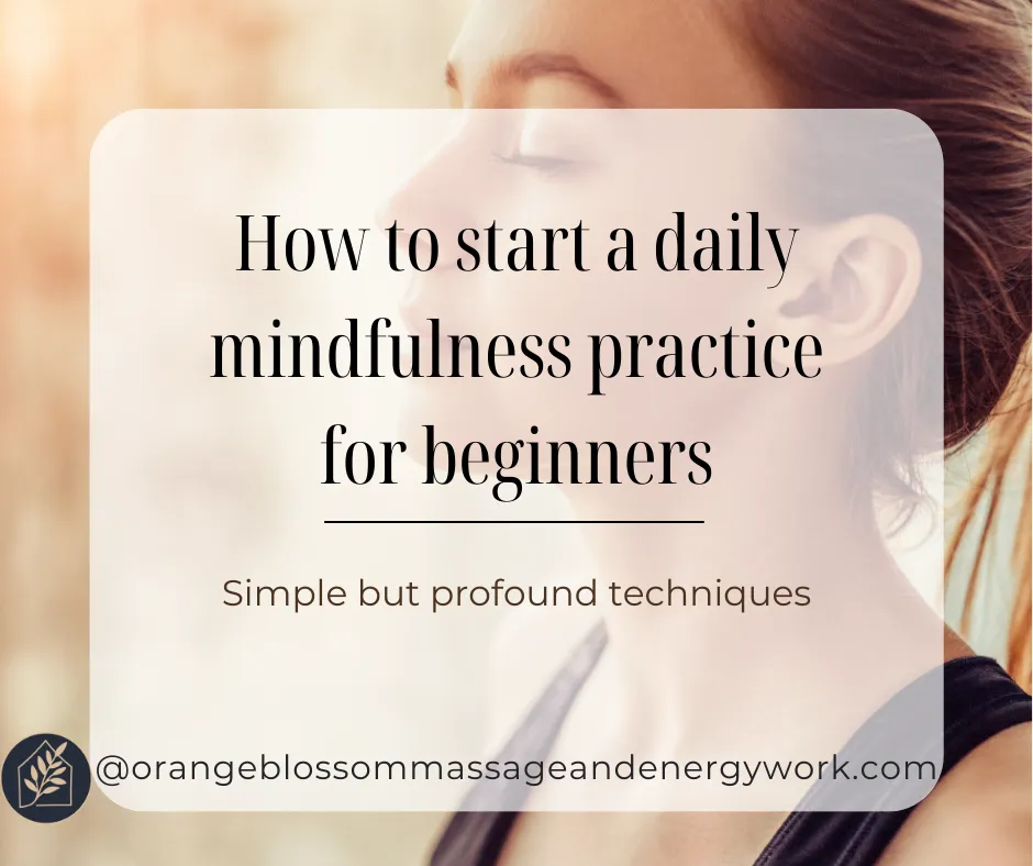 How to start a daily mindfulness practice for beginners?