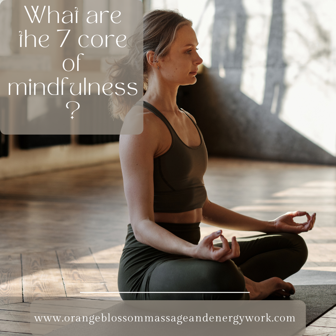 What are the 7 core of mindfulness?