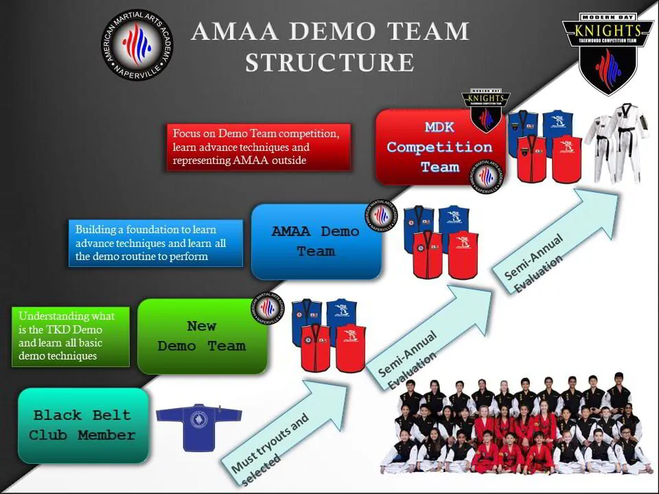 DEMO Team | Martial Arts Lessons in Bolingbrook, IL