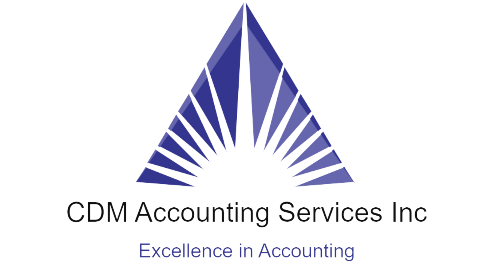 About CDM Accounting Services