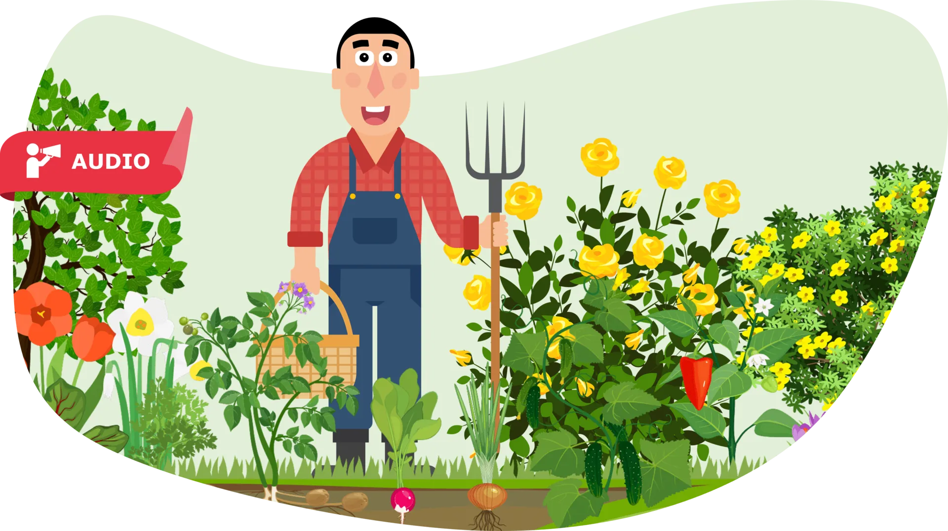 IELTS Speaking Part 1: Flowers