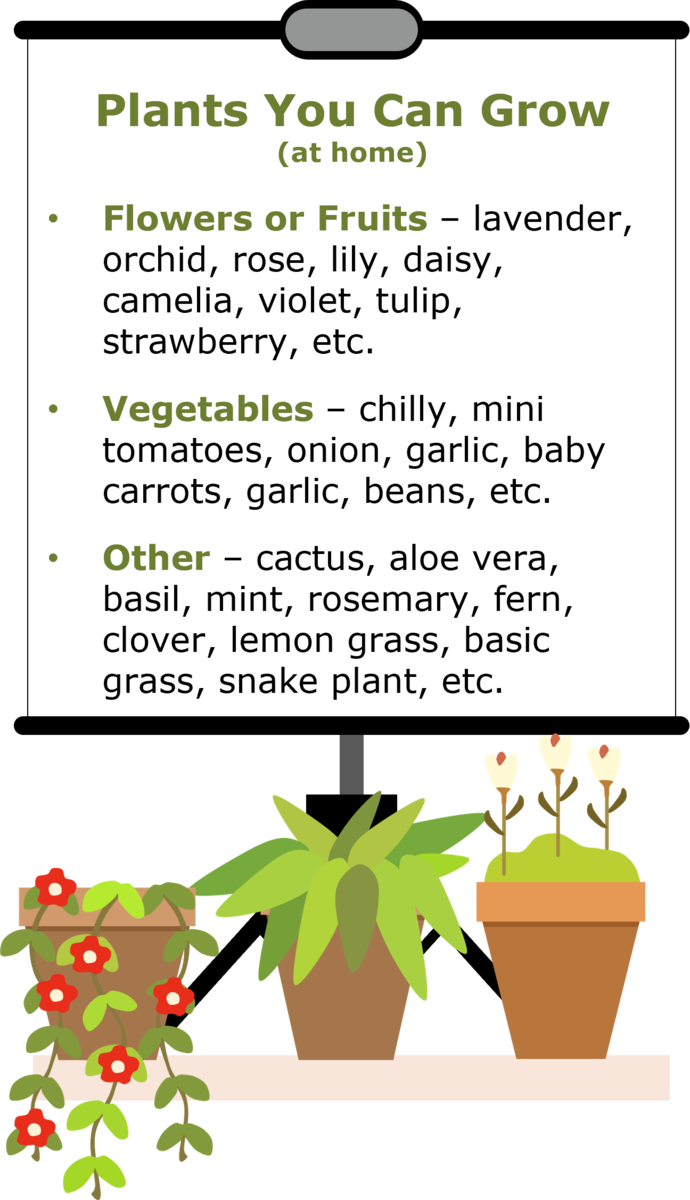 IELTS TOPIC: A Person You Know Who Grows Plants