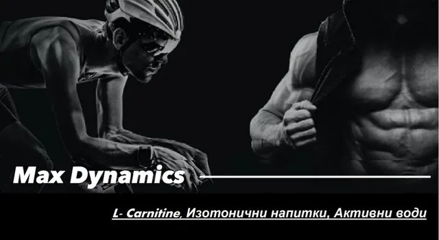 Max Dynamics