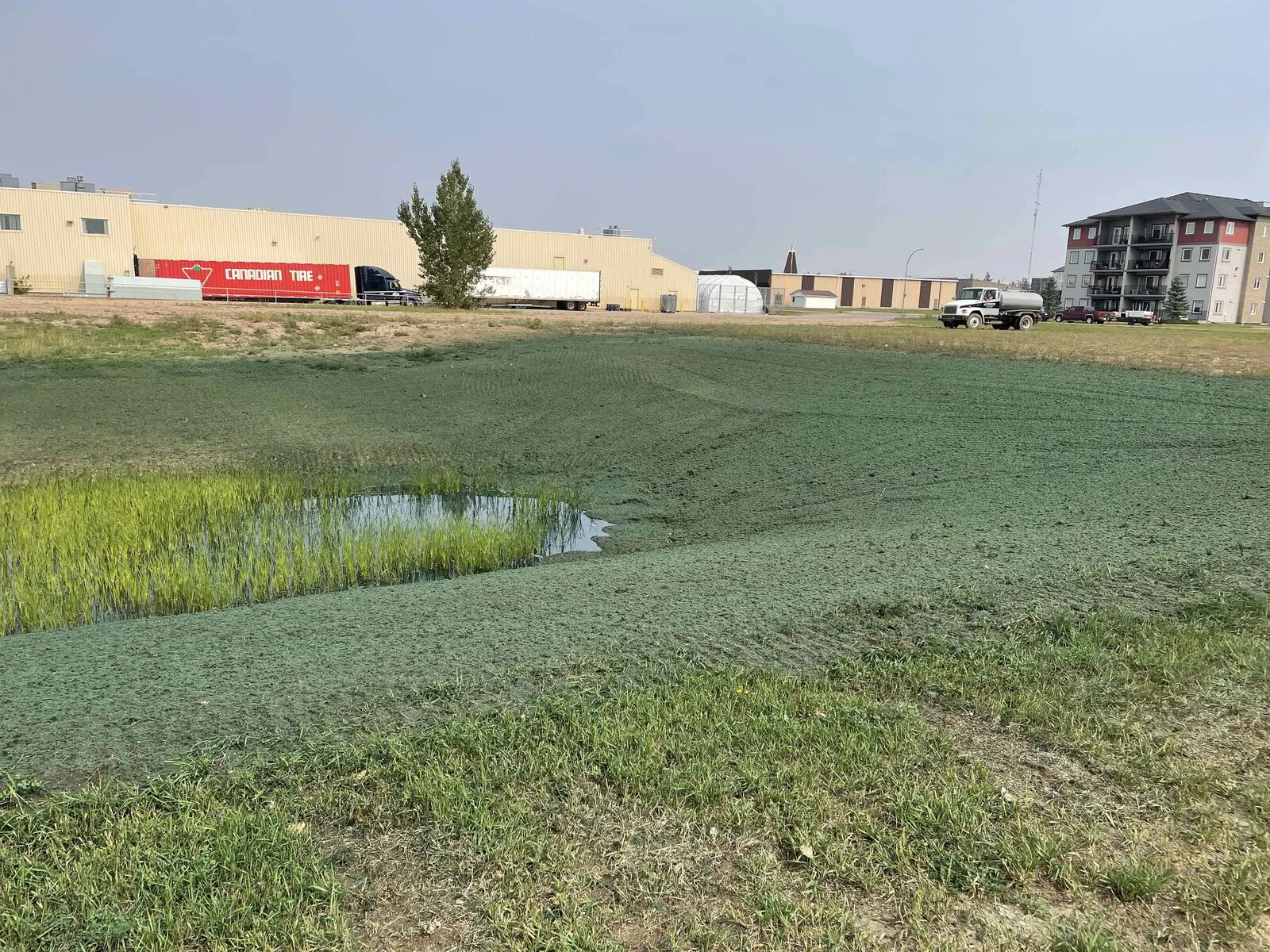 Regina Hydroseed & Grass Solutions