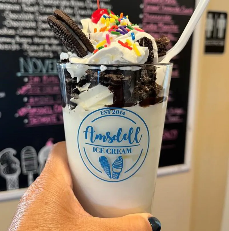 Home [amsdellicecream.com]