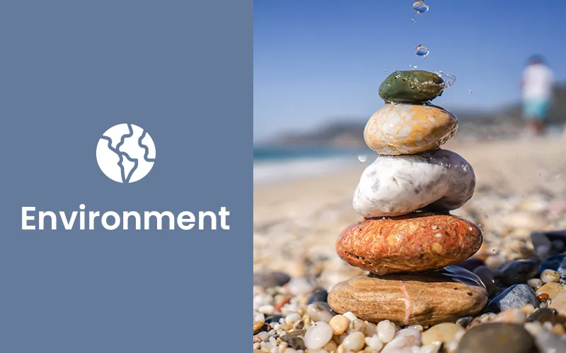 Environment