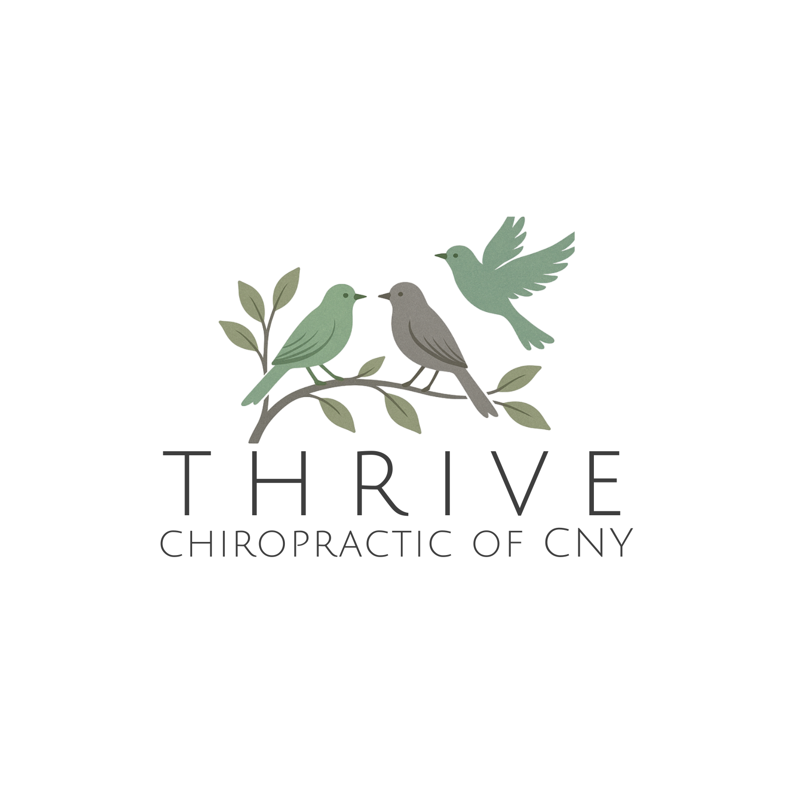 About Thrive Chiropractic of CNY | Meet Dr. Peterson & Dr. Smith