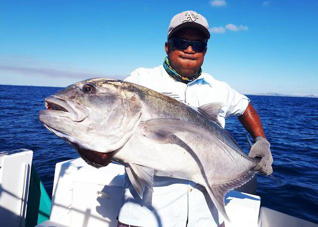 Meet | Hidden Gem Fiji